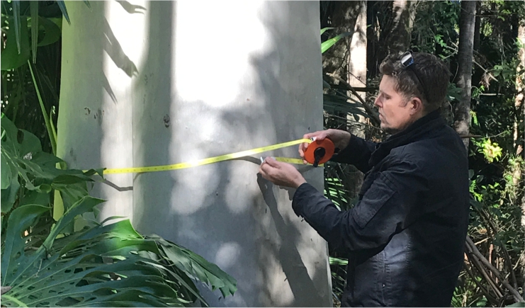 Tree Management Strategies | Horticultural Consultant | Tree Reports