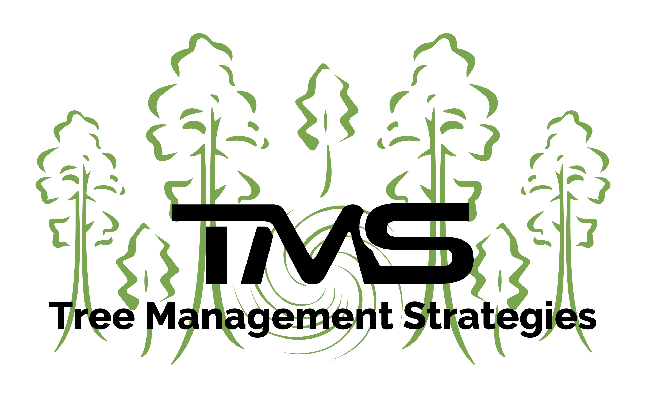 Tree Management Strategies | Horticultural Consultant | Tree Reports